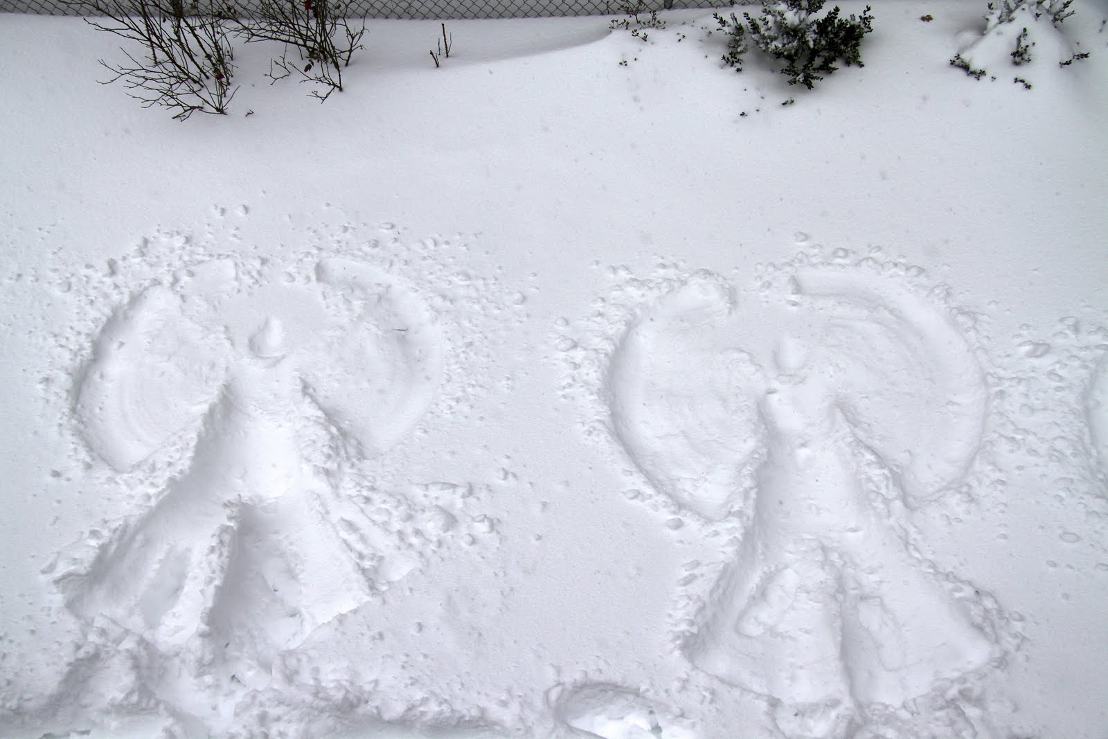 Snow Angels: A Reading | Tiffini Johnson