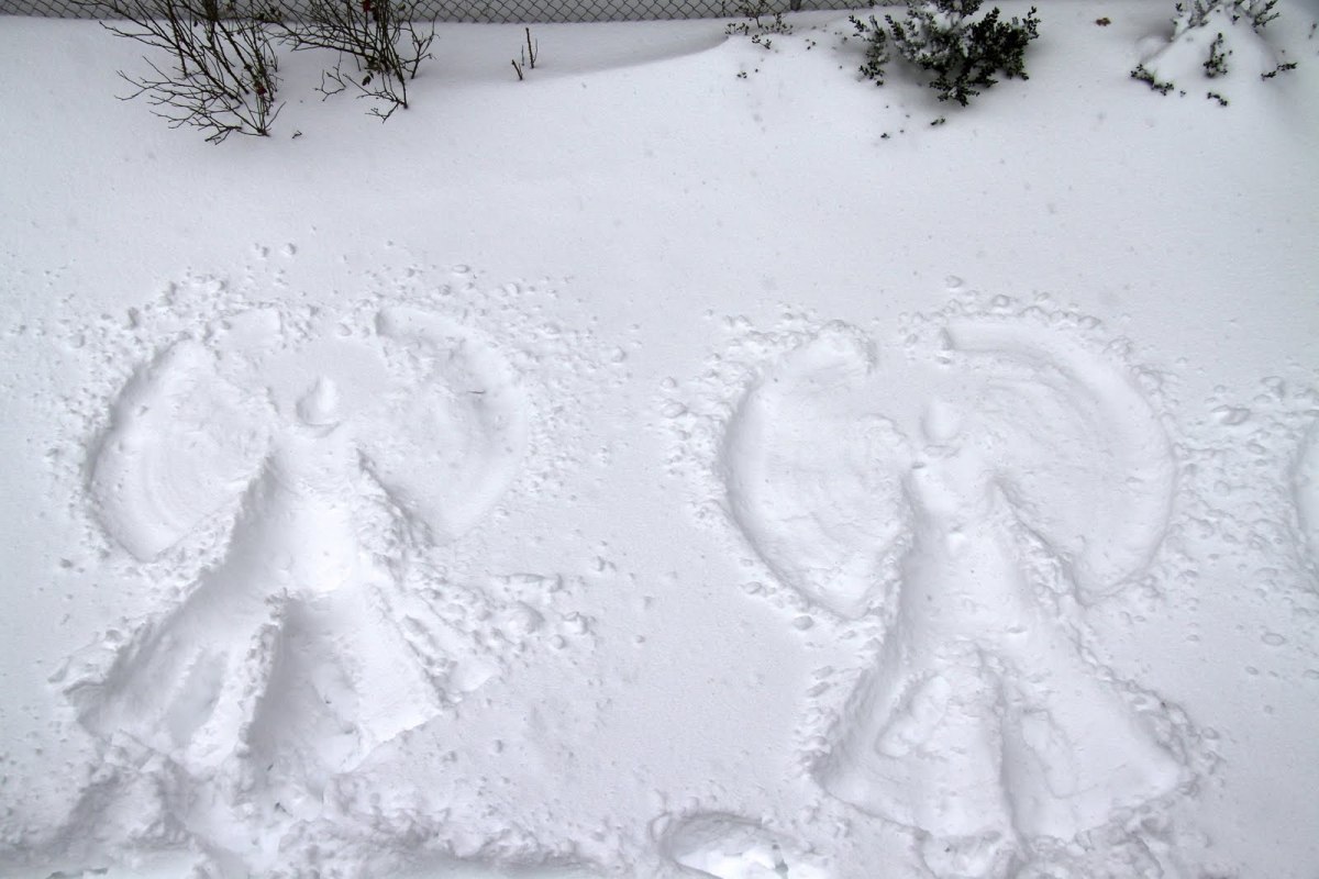 Snow Angels: A Reading | Tiffini Johnson